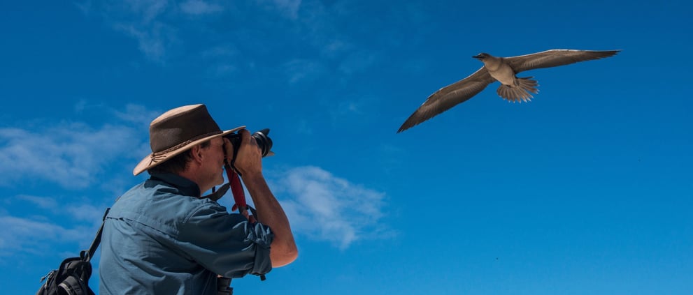 Genovesa Island: Birdwatching Paradise in Galapagos |Galapagos Islands
