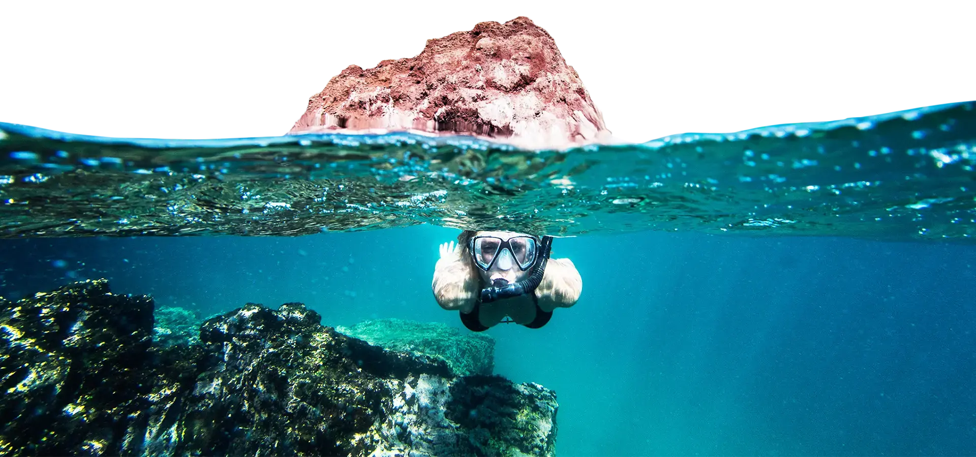 Snorkeling in Galapagos | Top Sites & Marine Life with Go Galapagos